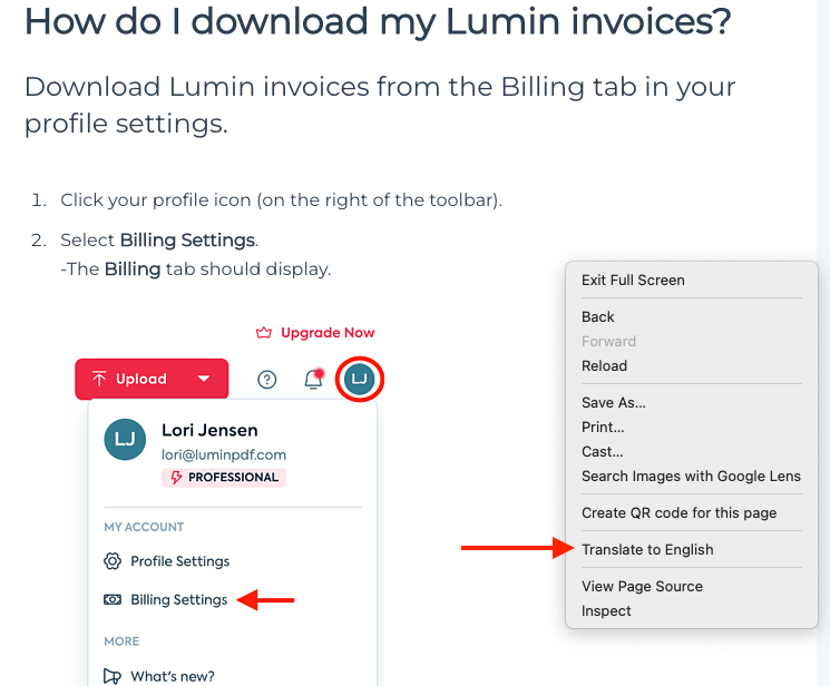 What languages does Lumin support?
